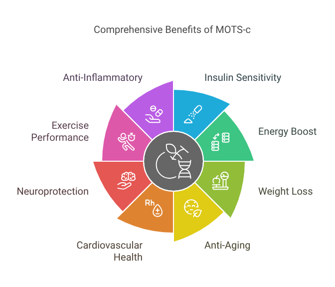 Benefits of MOTS-C - Florida Anti-Aging Center